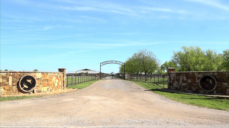 Sterling Ranch USA – Leading Breeder of Champions