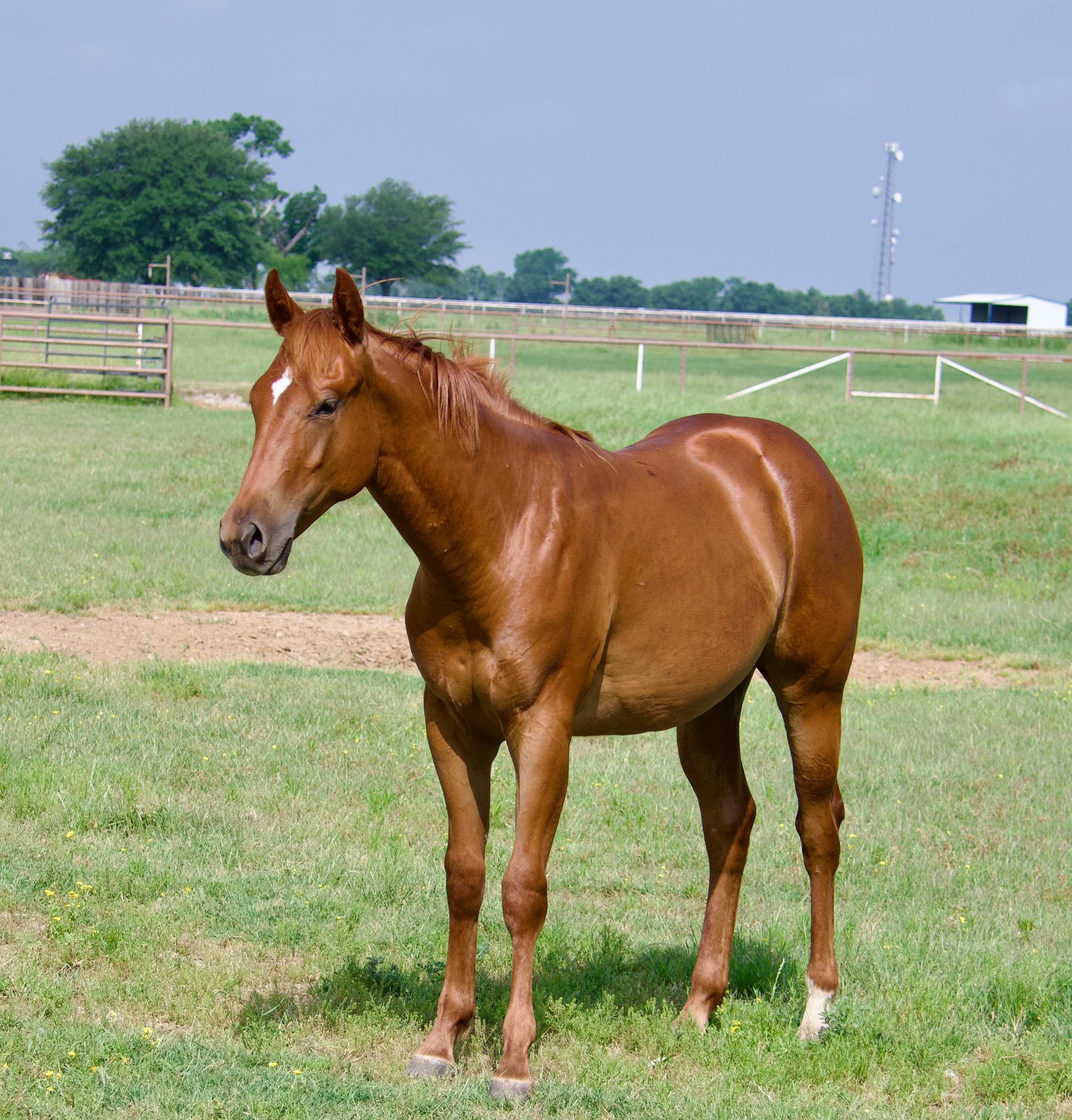 SPOOK IN ME – Sterling Ranch USA